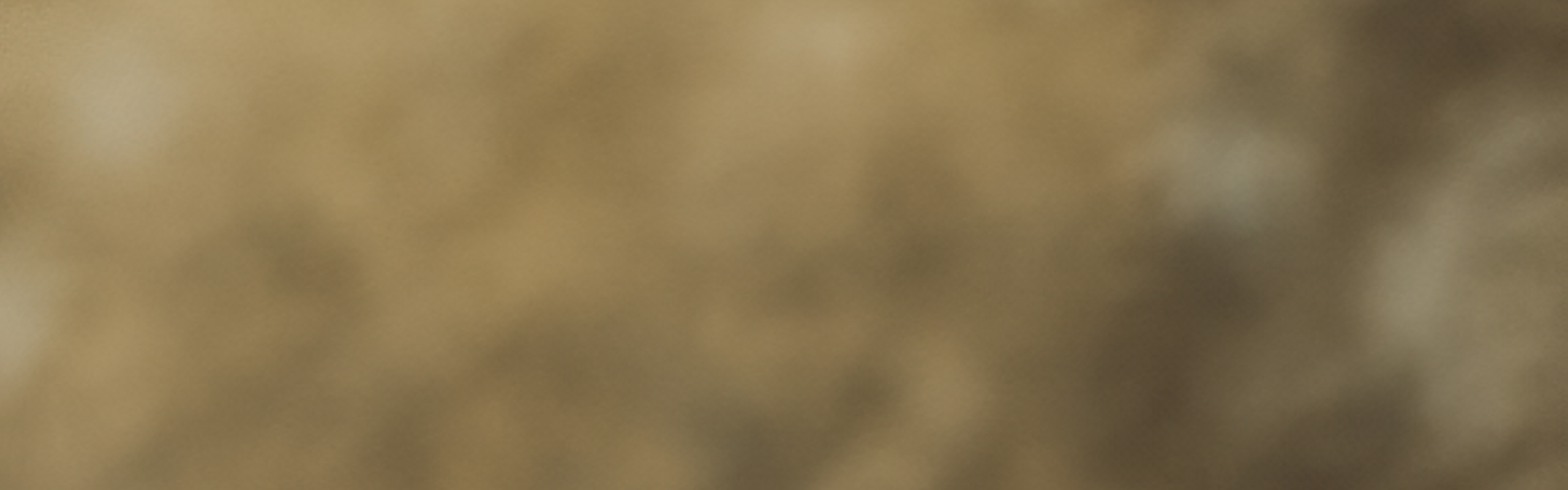 Marc O’Polo Eyewear – Eschenbach Eyewear