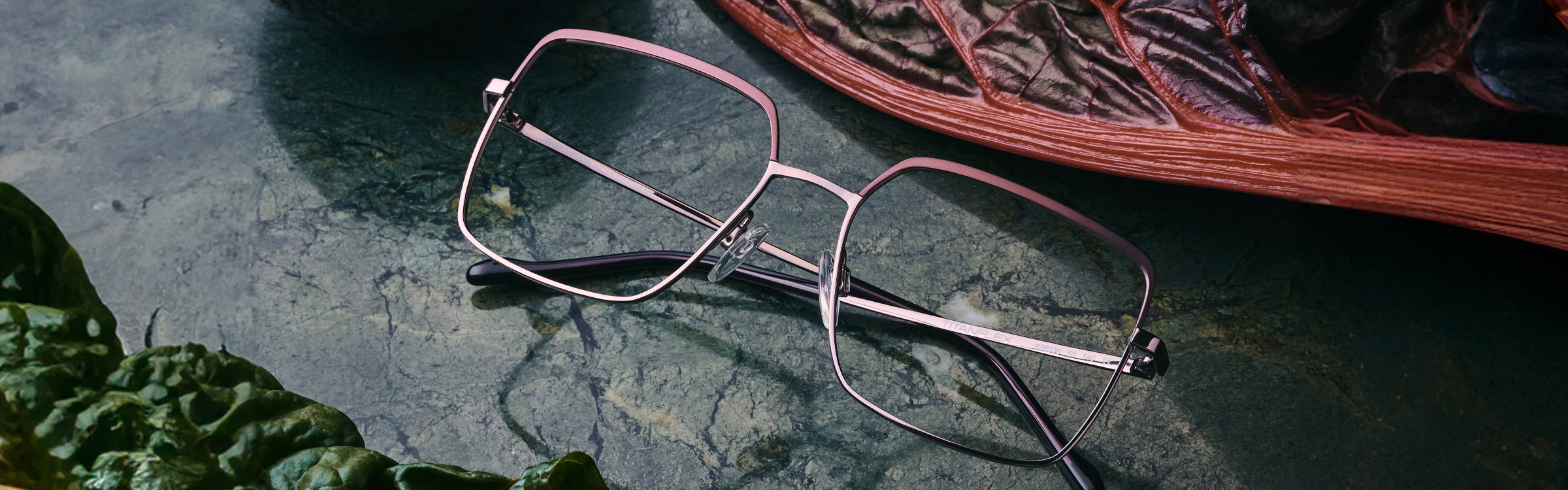 TITANFLEX – Eschenbach Eyewear